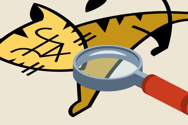 What Is Apache Tomcat? | Tomcat Overview | OpenLogic What Is Apache Tomcat? | Tomcat Overview | OpenLogic